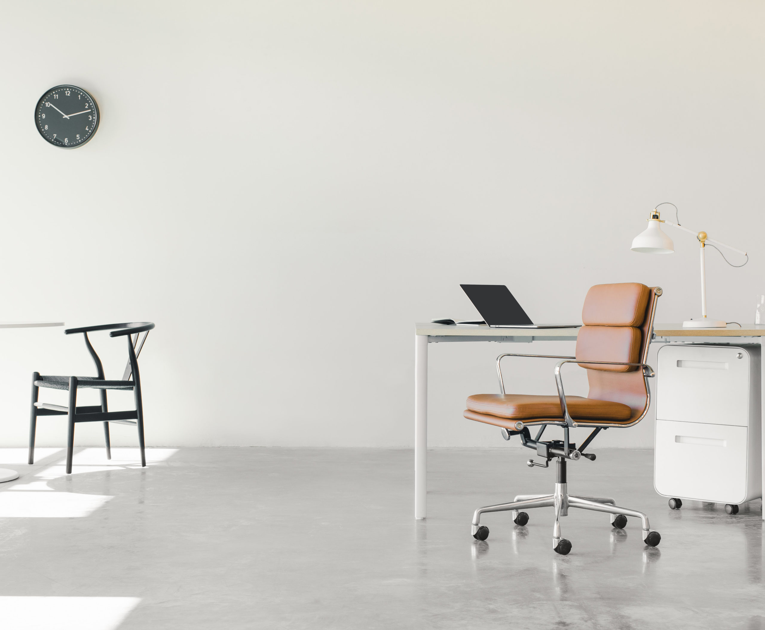 Megaport - Case Study | Alpha Digital